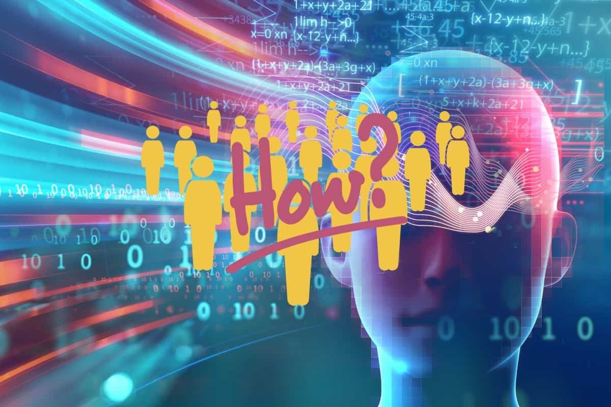 Blog | Hampton Network